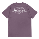 The Sphere – Dead & Company